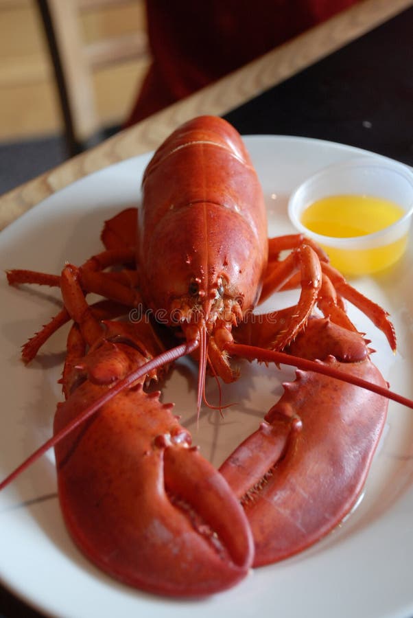 Red Lobster stock image. Image of lobster, full, restaurant - 12364383