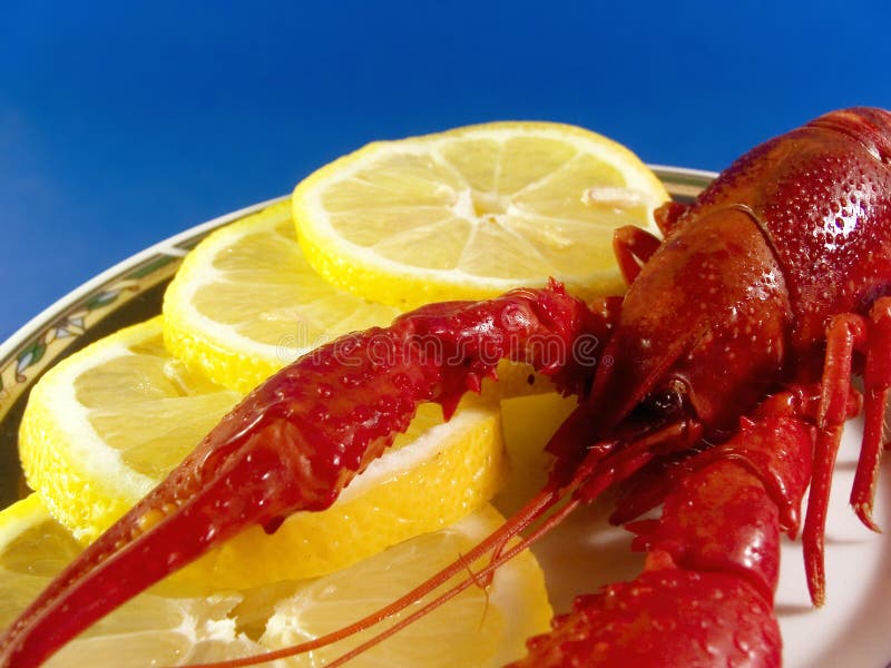Lobster stock image. Image of dish, shell, gourmet, food - 9964931
