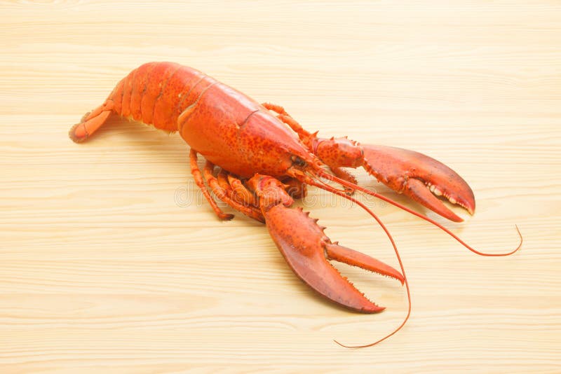 Red Lobster stock image. Image of delicious, food, wood - 27688217