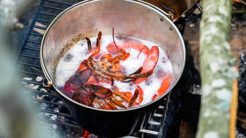 Red Lobster in Boiling Water on Camp Fire Stock Image - Image of edible ...