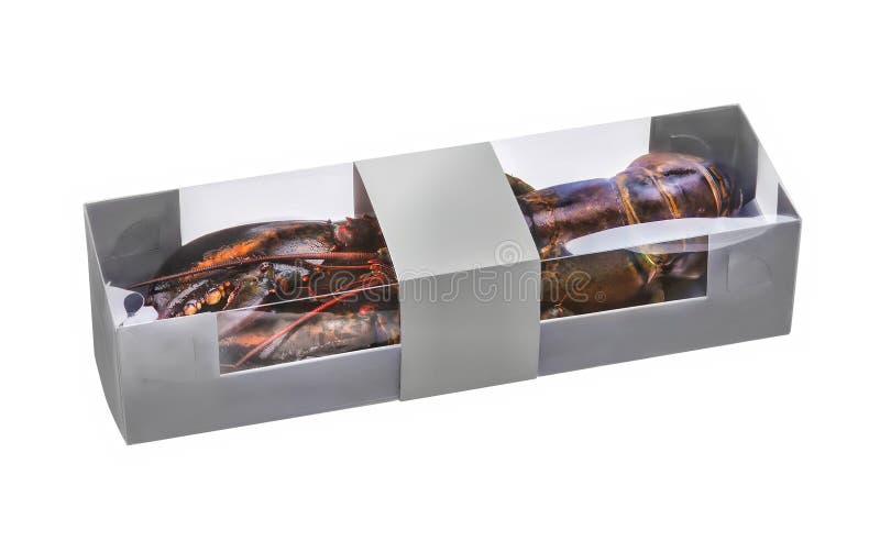 Red Lobster in Packaging Isolated on White Stock Photo - Image of ...