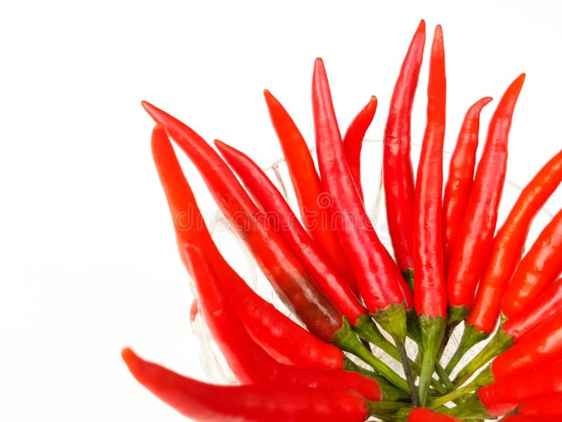 Red Long Chili in a Small Glass Bowl Stock Image - Image of peppers ...