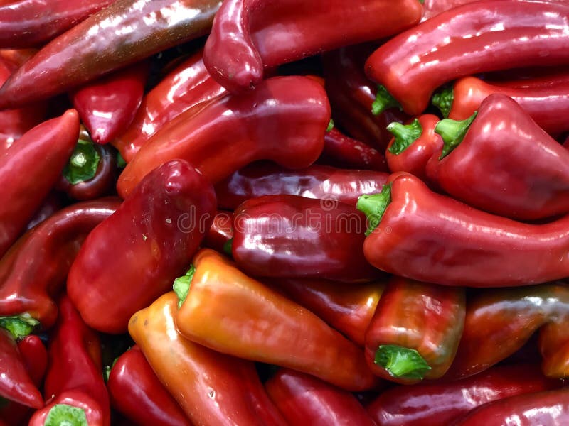Red Long Chilly Pepper Close View Stock Photo - Image of closeup ...