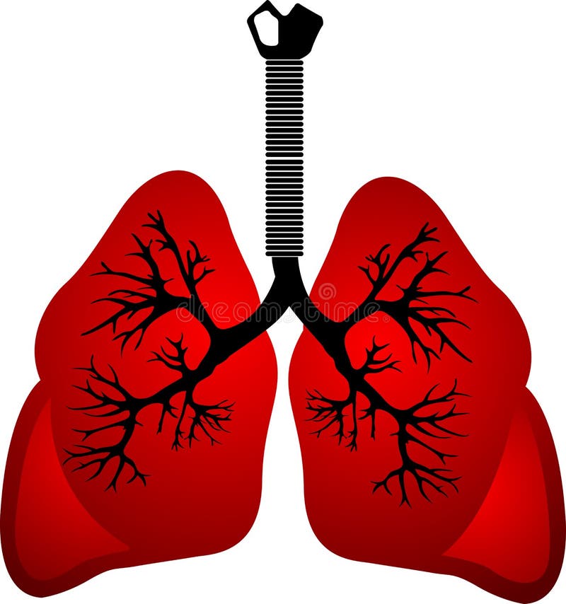 16+ Red lungs Free Stock Photos - StockFreeImages