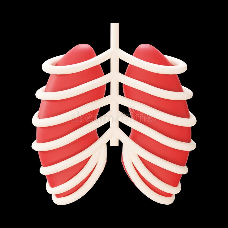 Red Lungs with Rib Cage 3D Element on Black Stock Illustration ...