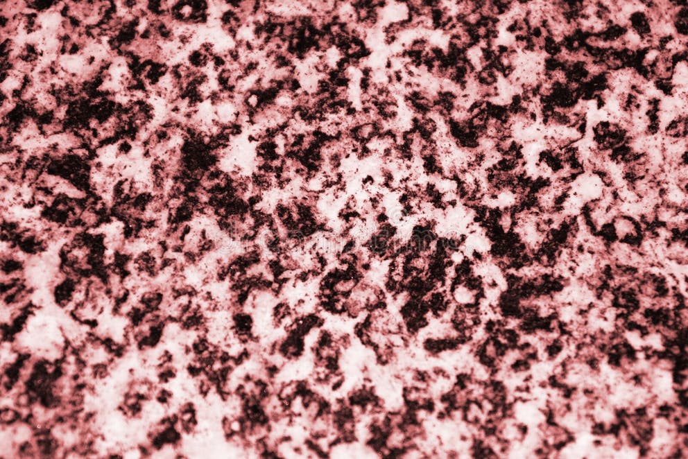 Red Luster Granite stock photo. Image of pattern, natural - 19919682
