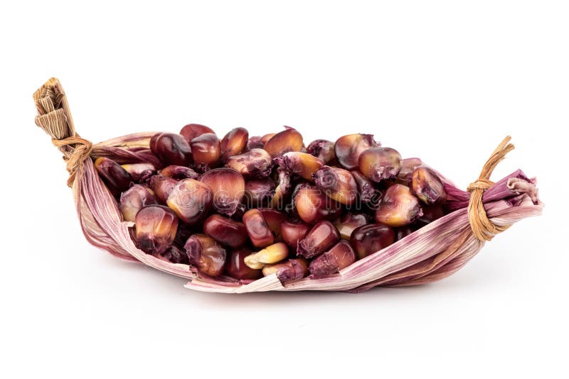 Red Maize or Corn Fruits and Seeds Isolated on White Surface Stock ...