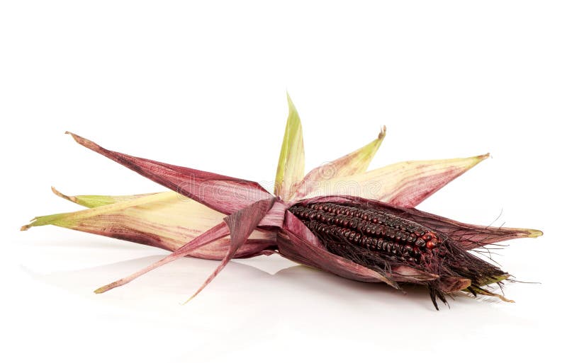 Red Maize or Corn Fruits and Seeds Isolated on White Surface Stock ...
