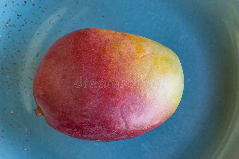 Red Mango Fruit on a Blue Plate, Close Up Stock Photo - Image of view ...