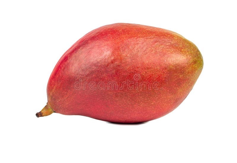 Red mango fruit stock image. Image of organic, background - 202730837