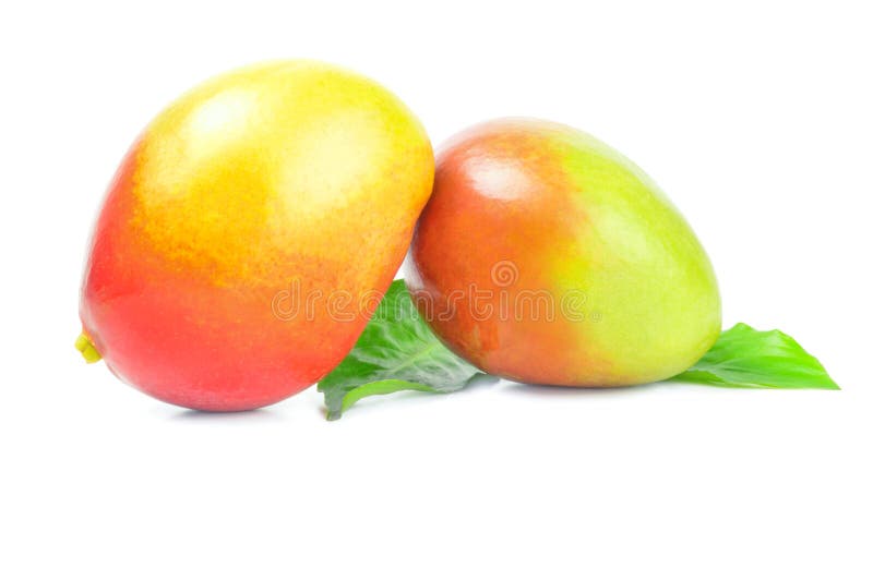 Red Mango Isolated on a White Cutout Stock Image - Image of background ...