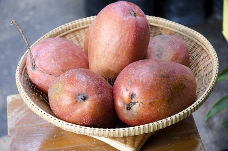 Red Mango stock image. Image of nutrition, exotic, ripe - 40151277