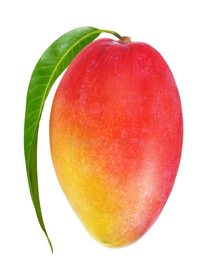 Red mango on white stock photo. Image of fruit, fresh - 128585548