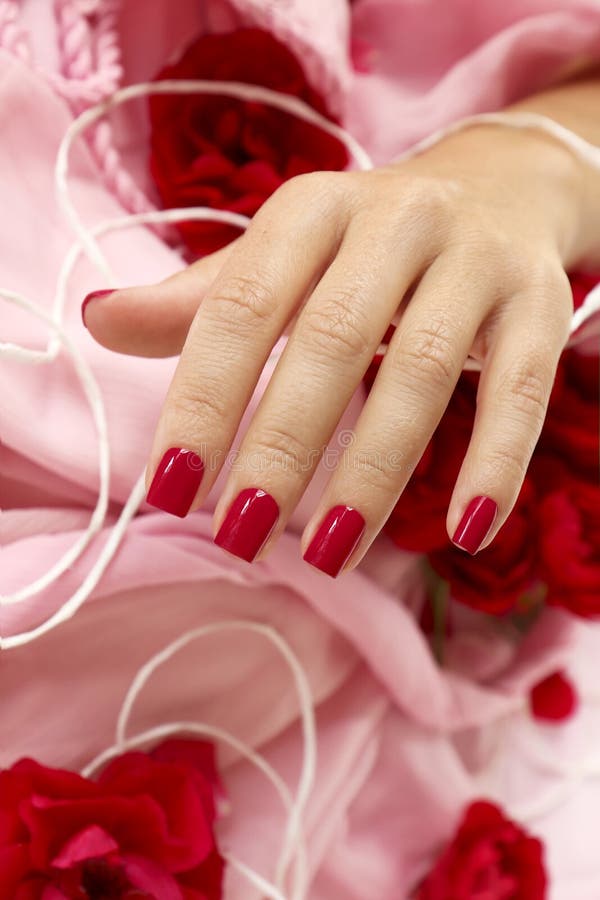 Red manicure with roses stock photo. Image of feminine - 261155440