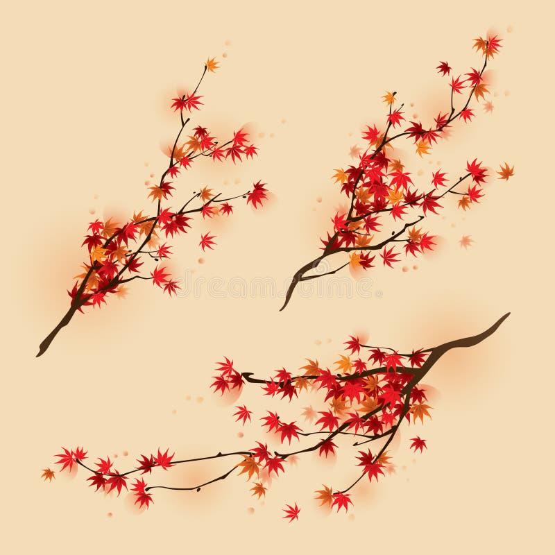 Red maple tree in autumn stock vector. Illustration of tree - 30677342