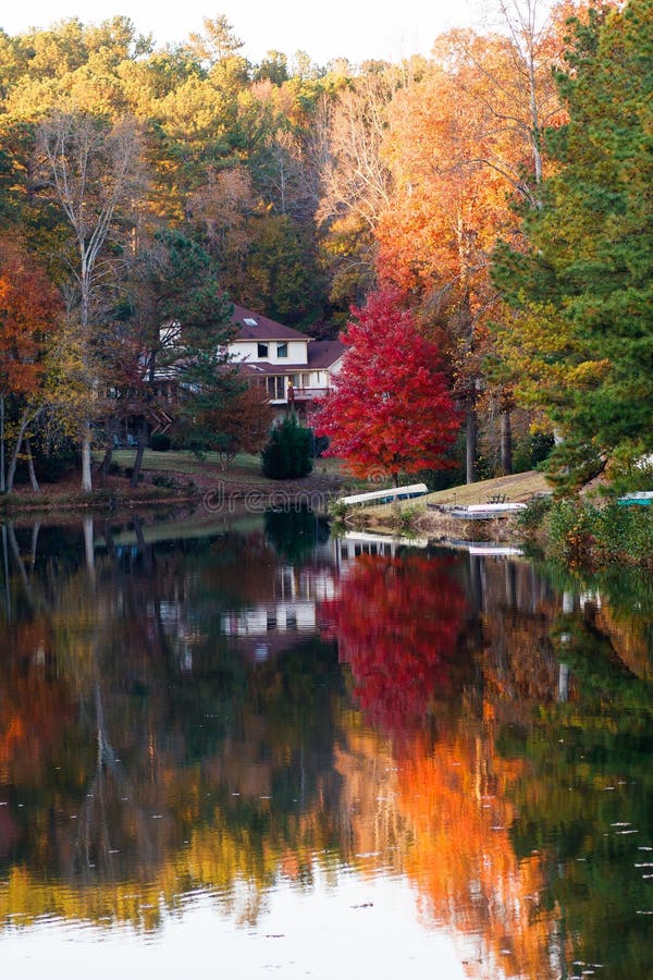 Red Maple and House Reflected Stock Photo - Image of nature, residence ...