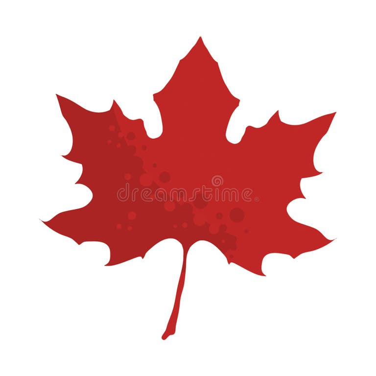 Red maple leaf stock vector. Illustration of design - 354382710