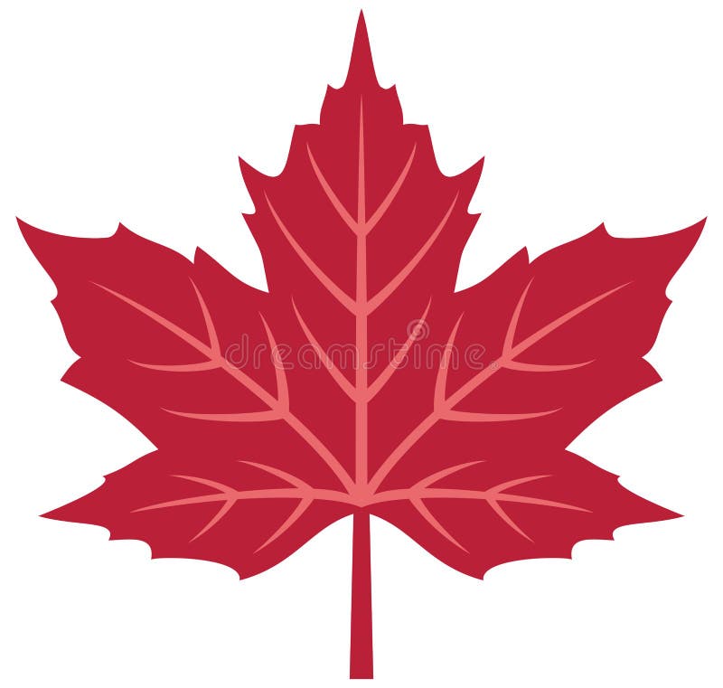 Red Maple Leaf Vector Illustration Stock Illustration - Illustration of ...