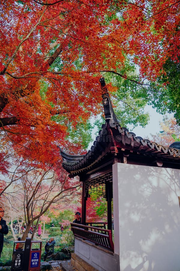 Red Maple Leaves and Chinese Classical Architecture in Autumn Stock ...