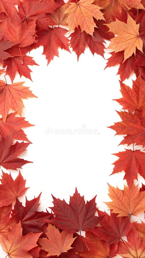 Autumn Themed Frame Formed from Red Maple Leaves Stock Illustration ...