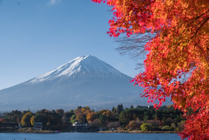 Red Maple Leaves Mount Fuji Stock Image - Image of fall, scenic: 86198809