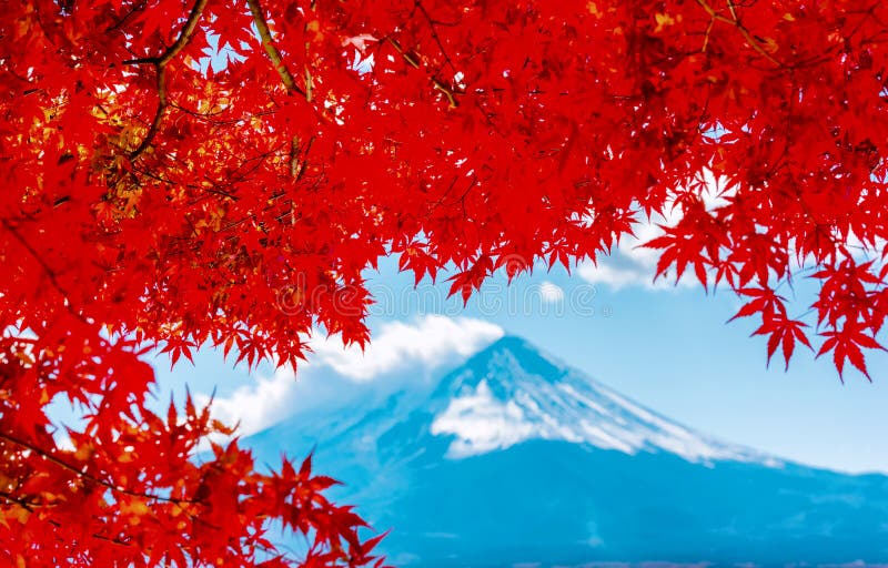 Red Maple Leaves in Mt.Fuji Stock Image - Image of landmark, volcano ...