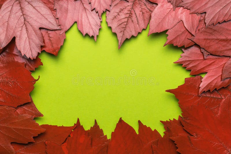 Red Maple Leaves in the Shape of a Frame on a Green Background. Space ...