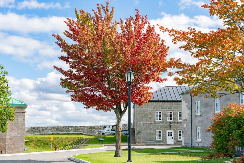 Red Maple Tree in the La Citadelle De Quebec Stock Photo - Image of ...