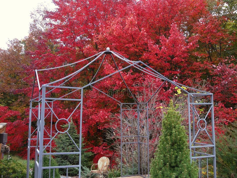 Red Maple Tree Pagoda Garden Stock Photo - Image of garden, mountains ...