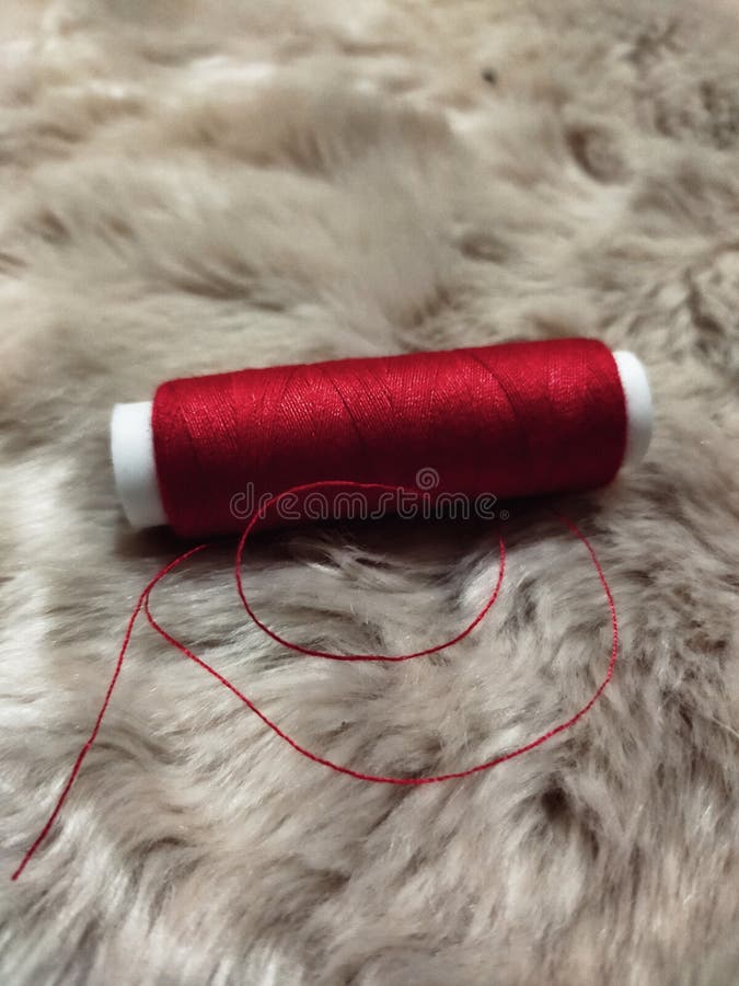 268 Red Maroon Sewing Stock Photos - Free & Royalty-Free Stock Photos ...