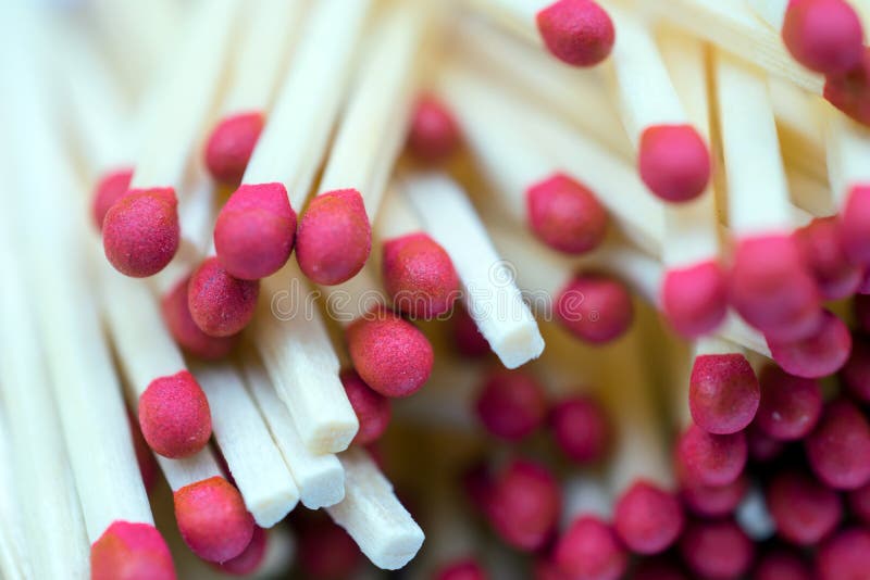 Collection of Macro Photography - Dreamstime ID:26901