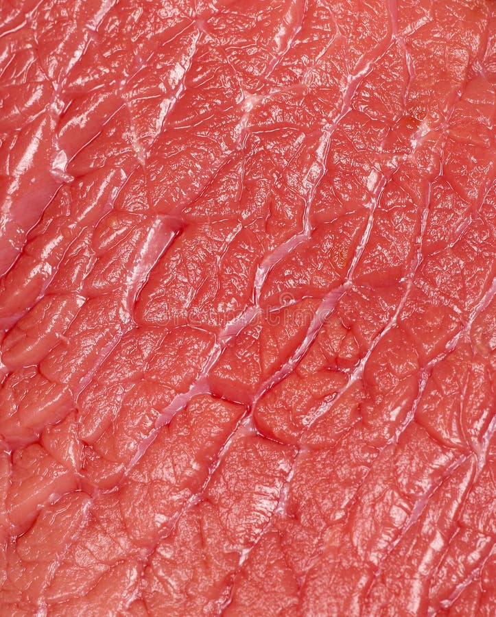 Red meat stock photo. Image of background, muscle, fillet - 16404628