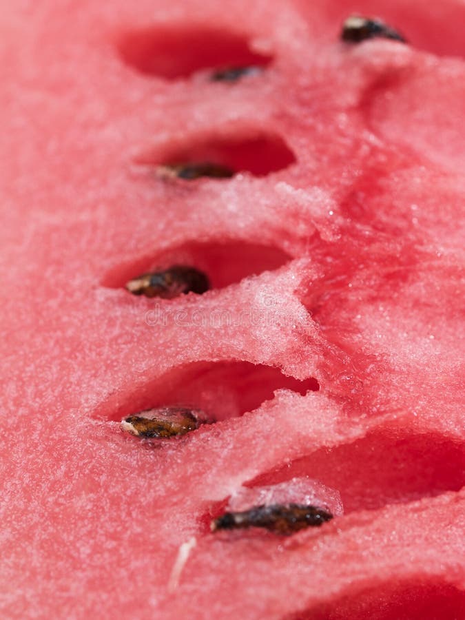 Red melon stock photo. Image of closeup, watermelon, diet - 5843730