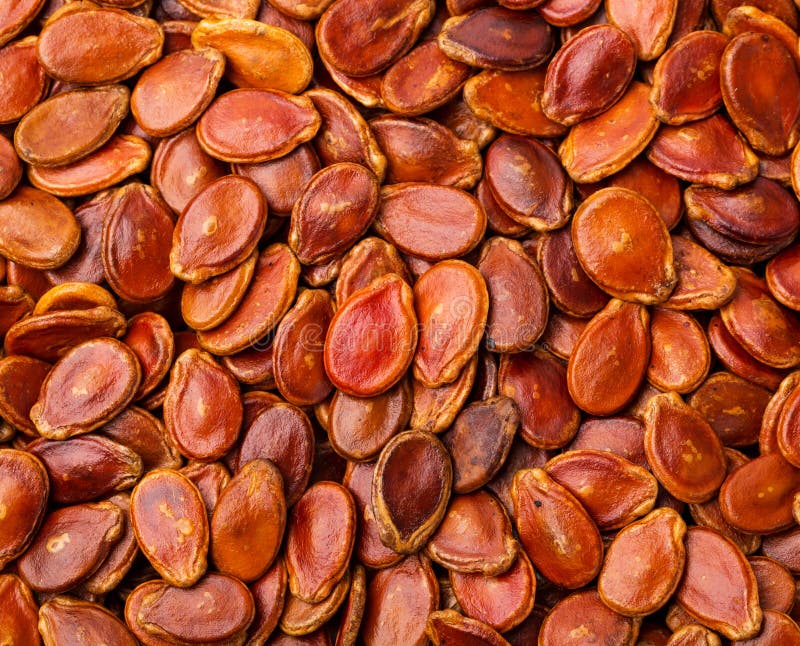 Red melon seed stock photo. Image of heap, seed, hard - 36779950