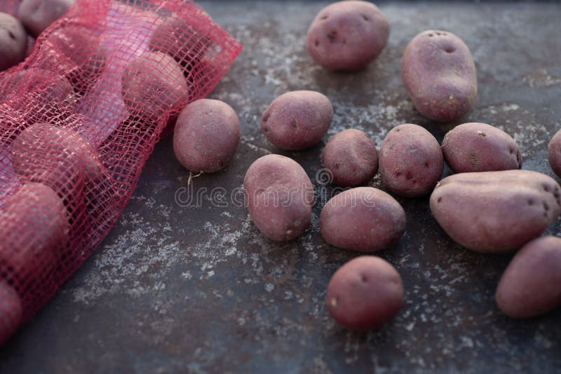 Red Mesh Bag of Baby Red Potatoes Stock Image - Image of pahrump ...