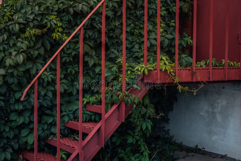 Red Metal Staircase among Lush Green Foliage Stock Image - Image of ...