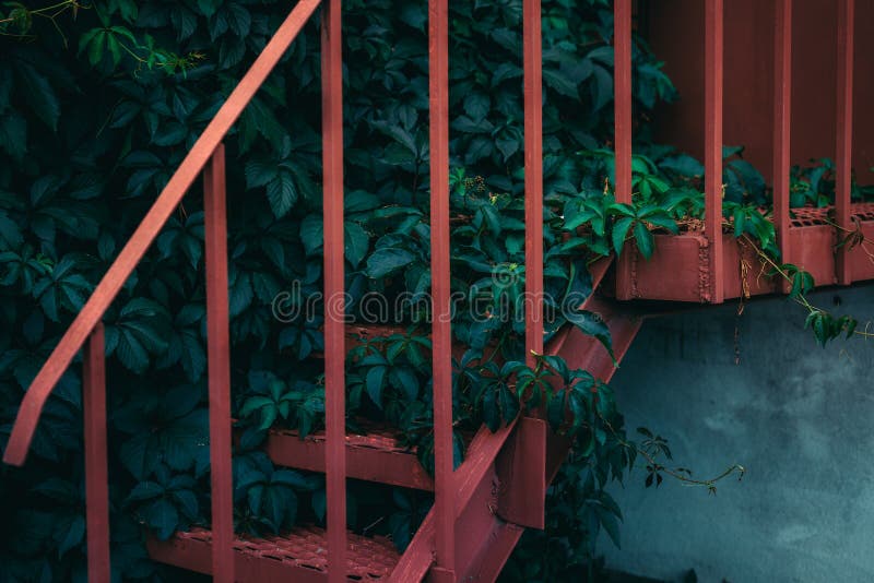 Red Metal Staircase among Lush Green Foliage Stock Photo - Image of ...