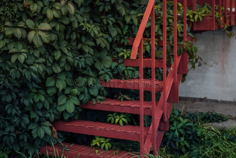 Red Metal Staircase among Lush Green Foliage Stock Image - Image of ...