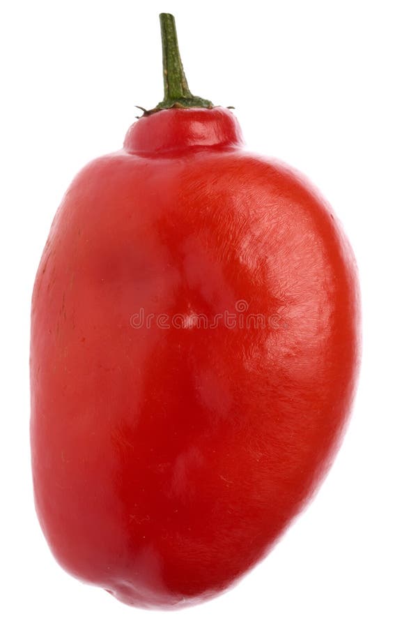 Chilli Macro Photo stock image. Image of dried, macro - 251842071