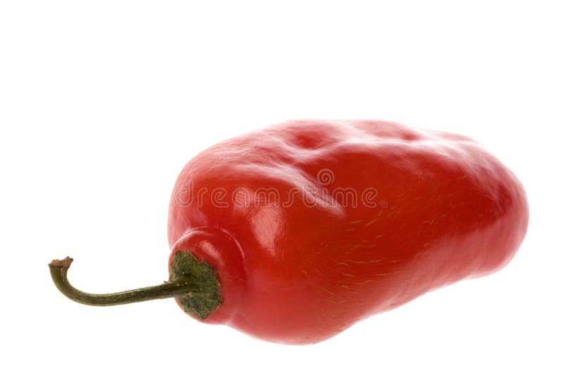 Red Mexican Chilli Macro stock photo. Image of chillies - 6968908