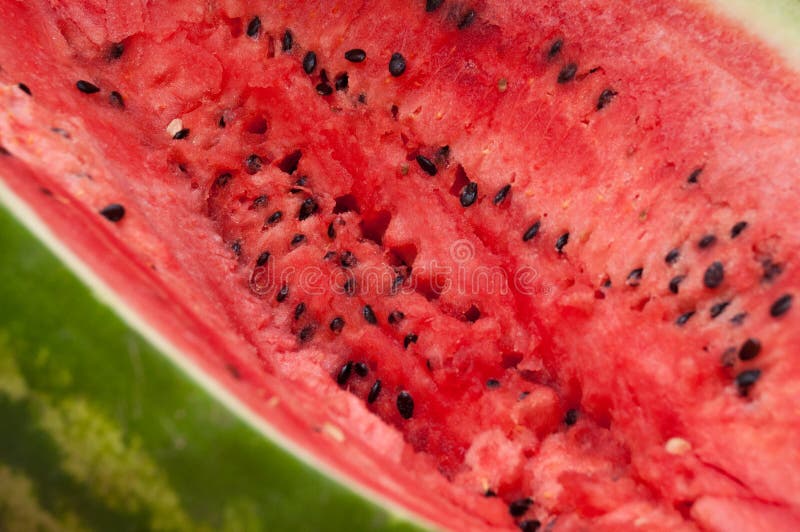 Red Middle of Watermelon with Seeds Close-up Stock Image - Image of ...