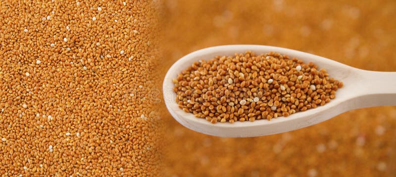Red Millet Grains, Close Up Stock Image - Image of seed, diet: 260537227
