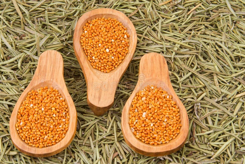 Red Millet Grains with in Wooden Spoon Stock Image - Image of cereal ...
