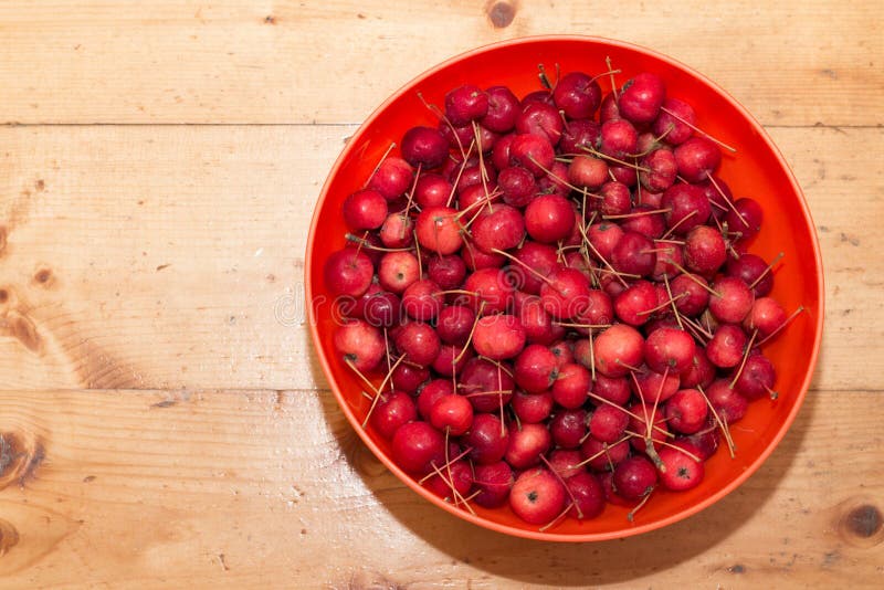 Red Mini Apples (crab Apple) Stock Photo - Image of season, apple: 76951376