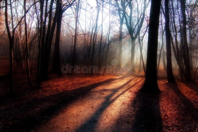 Red mist stock image. Image of crossing, branch, front - 3720181