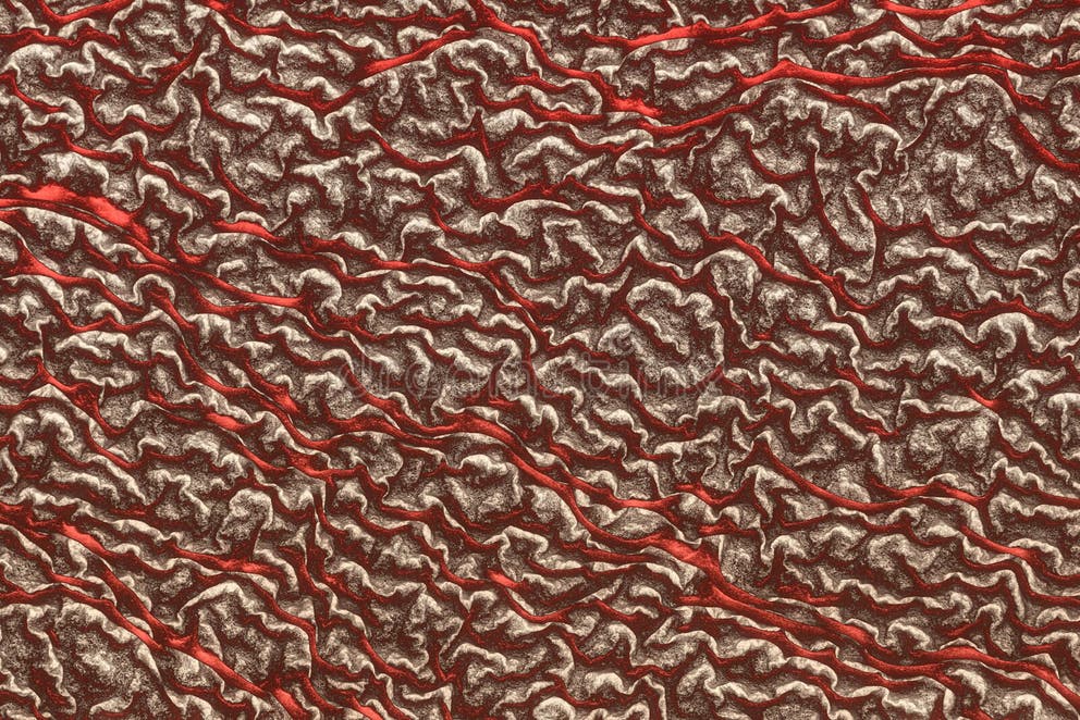 Macro, Texture of Mold on a Liquid Surface Stock Image - Image of ...