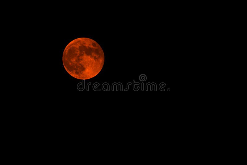 Red Moon in Shadow of Trees Stock Image - Image of earth, event: 45416803