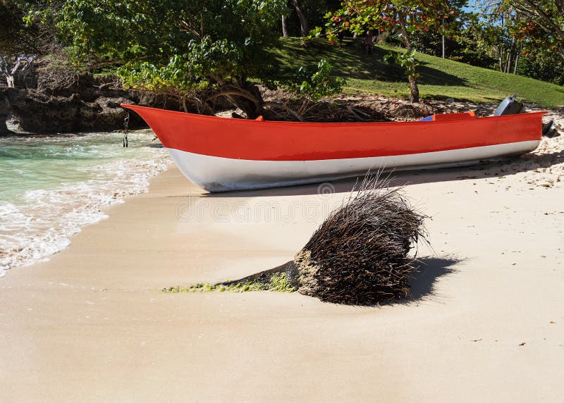 Red Motor Boat and Coconut Tree Root on the Seashore Stock Image ...