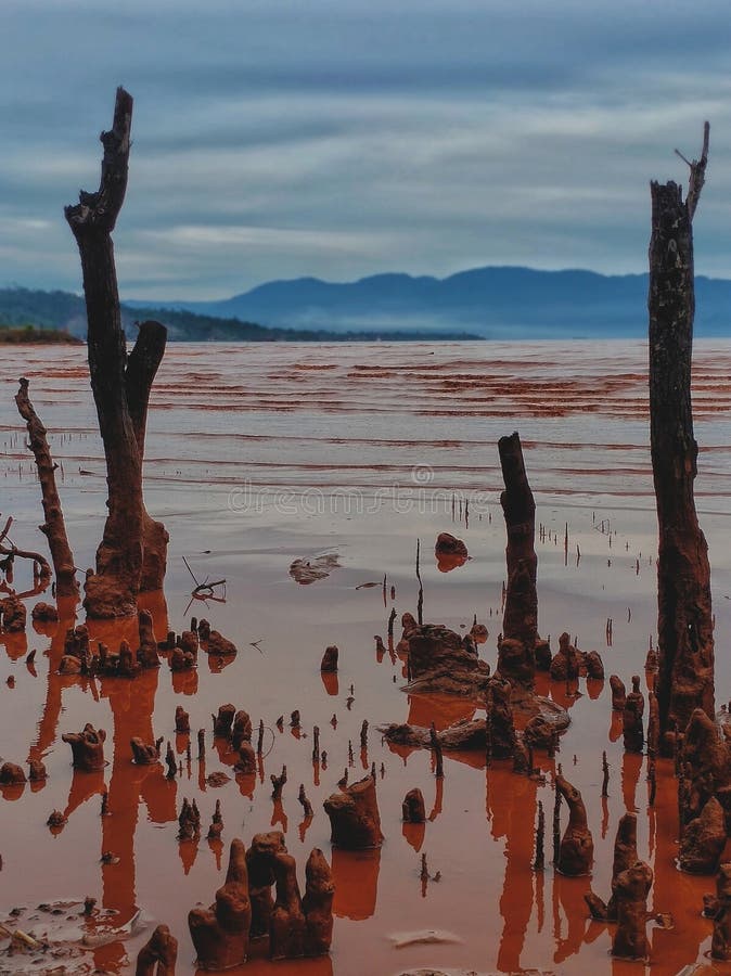 Limnophobia Stock Illustrations – 1 Limnophobia Stock Illustrations ...