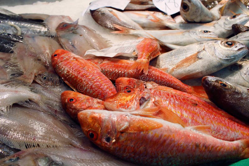 Small Red Mullet Fish, Sydney Fish Markets, Australia Stock Image ...
